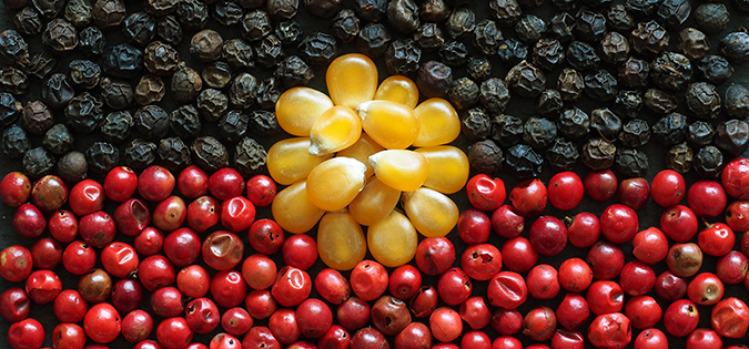 NACCHO Aboriginal Health Policy Alert : Closing the gap needs urgent ...